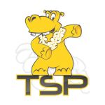 Tsp | BIG-CE